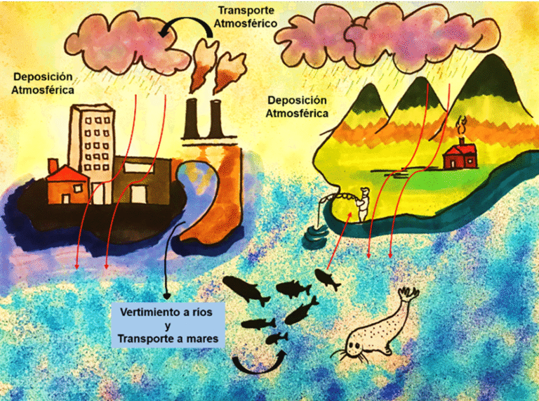 Peligros de los “Químicos Eternos” en la vida cotidiana – Quimiofilia | Divulgación Libre